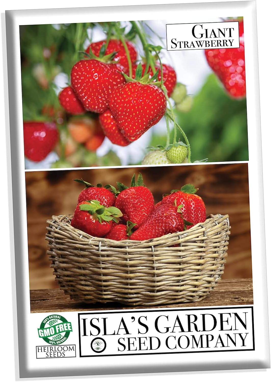 Giant Strawberry Seeds, 50+ Heirloom Seeds for Planting, Botanical Name ...