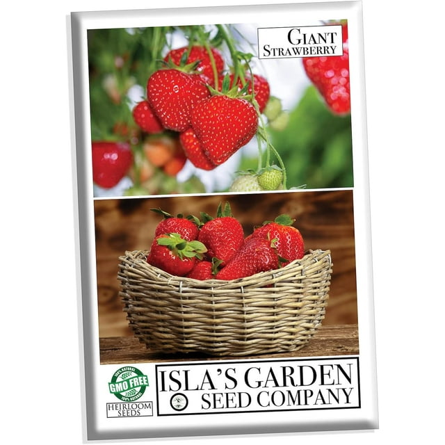 Giant Strawberry Seeds for Planting, 50+ Heirloom Seeds Per Packet, Non ...