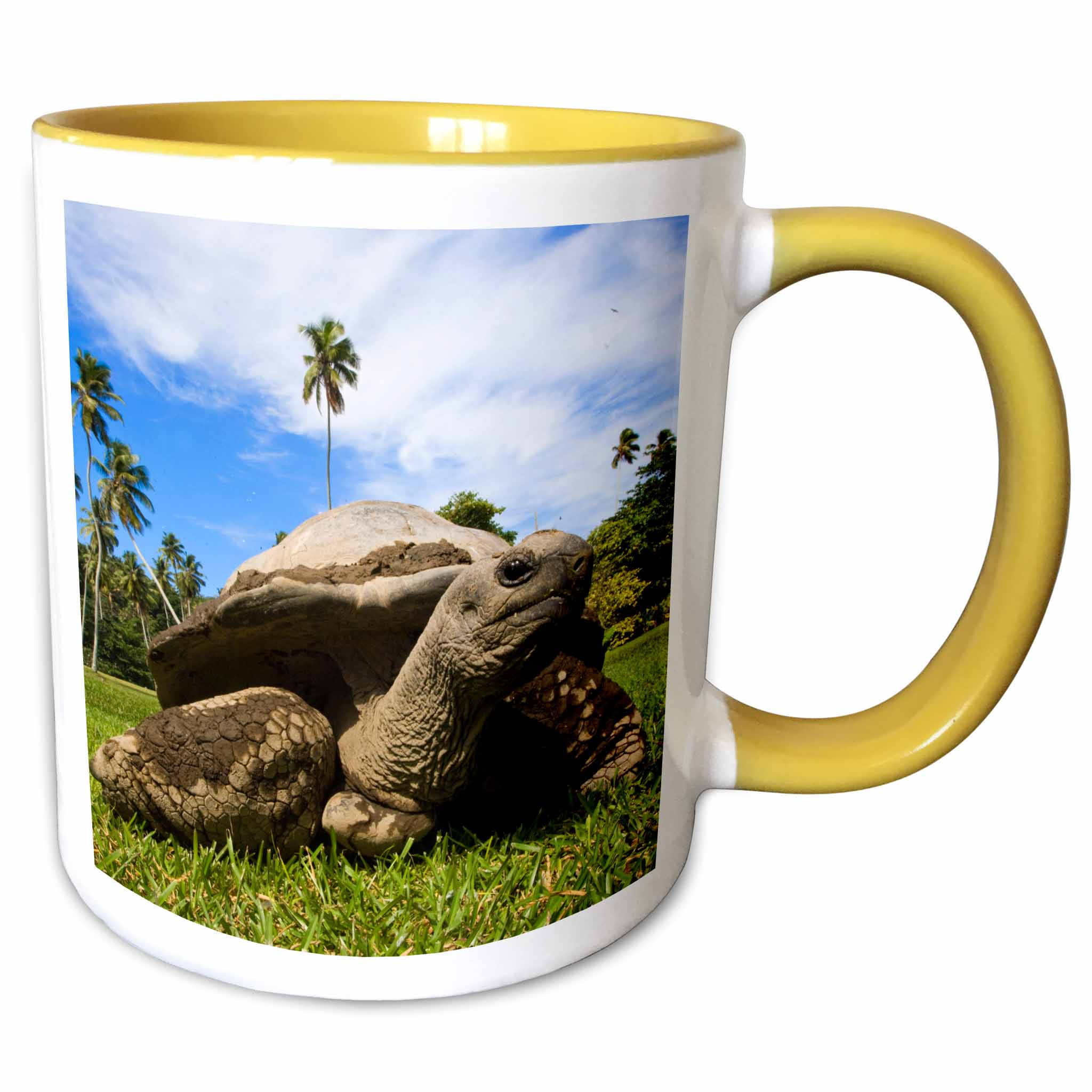 3drose, Giant Tortoise, Fregate Island, Seychelles-af39 Awr0010 ...