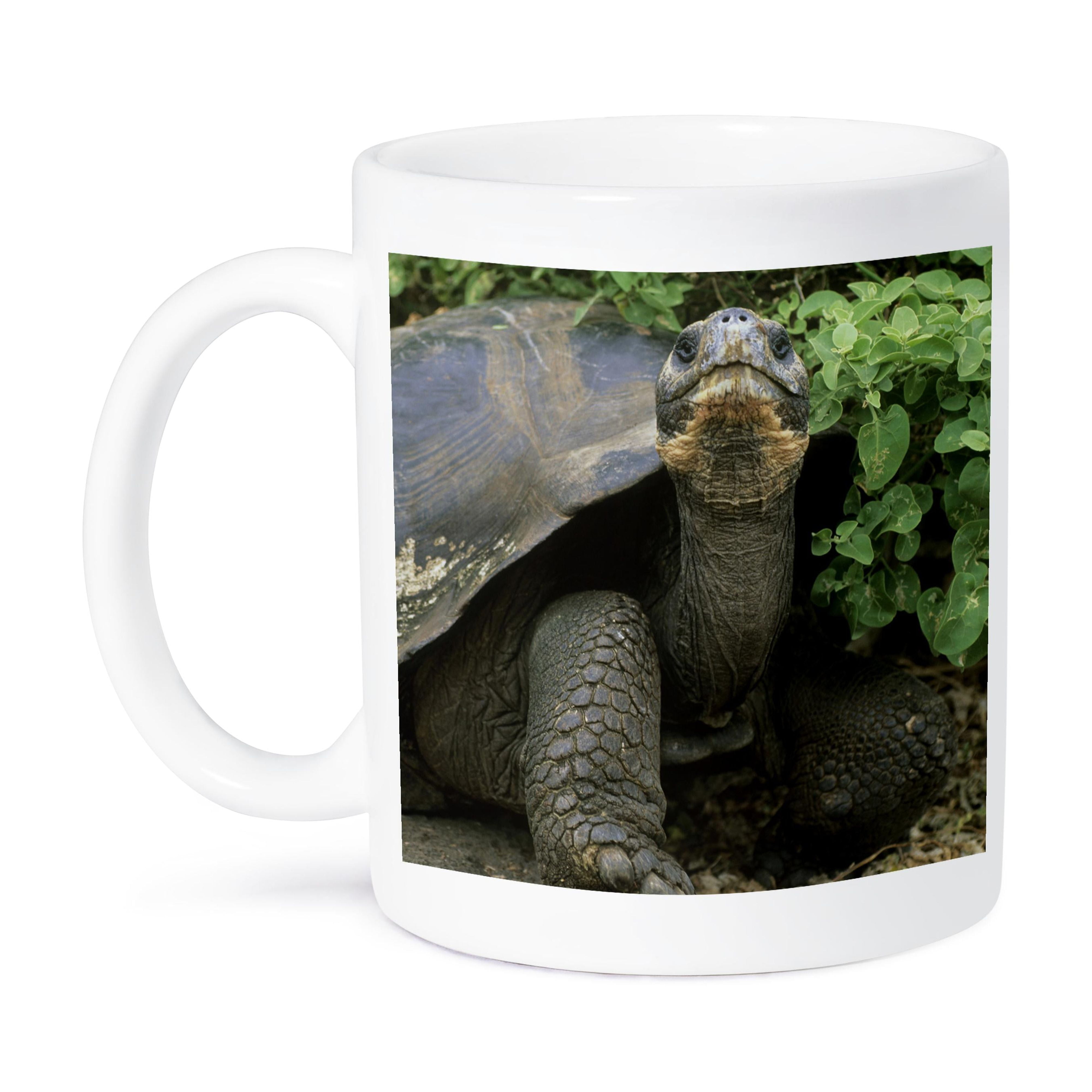 3dRose, Giant Tortoise, Galapagos Islands, Ecuador - SA07 KSC0011 ...