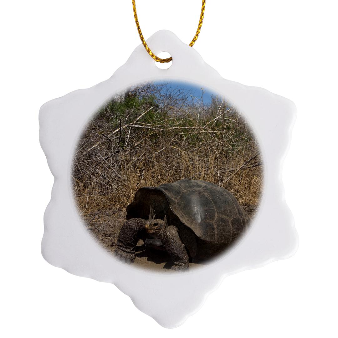 3drose, Giant Tortoise, Wolf Volcano, Galapagos Islands - Sa07 Pox2169 ...