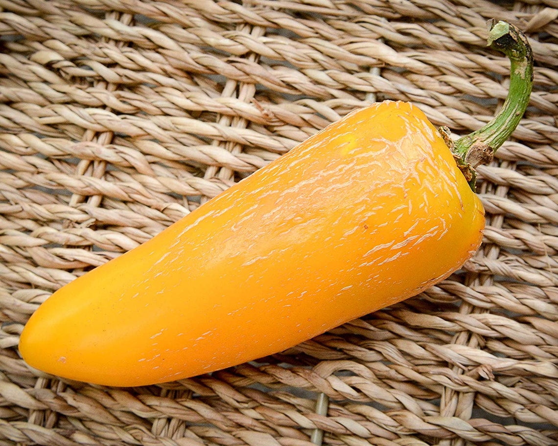 Sherwood's Seeds, Giant Yellow Jalapeno Pepper Seeds, Sweet Rare Hot ...