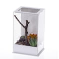Giaone Clear Breeding for Case Feeding Box with Landscape Area for ...