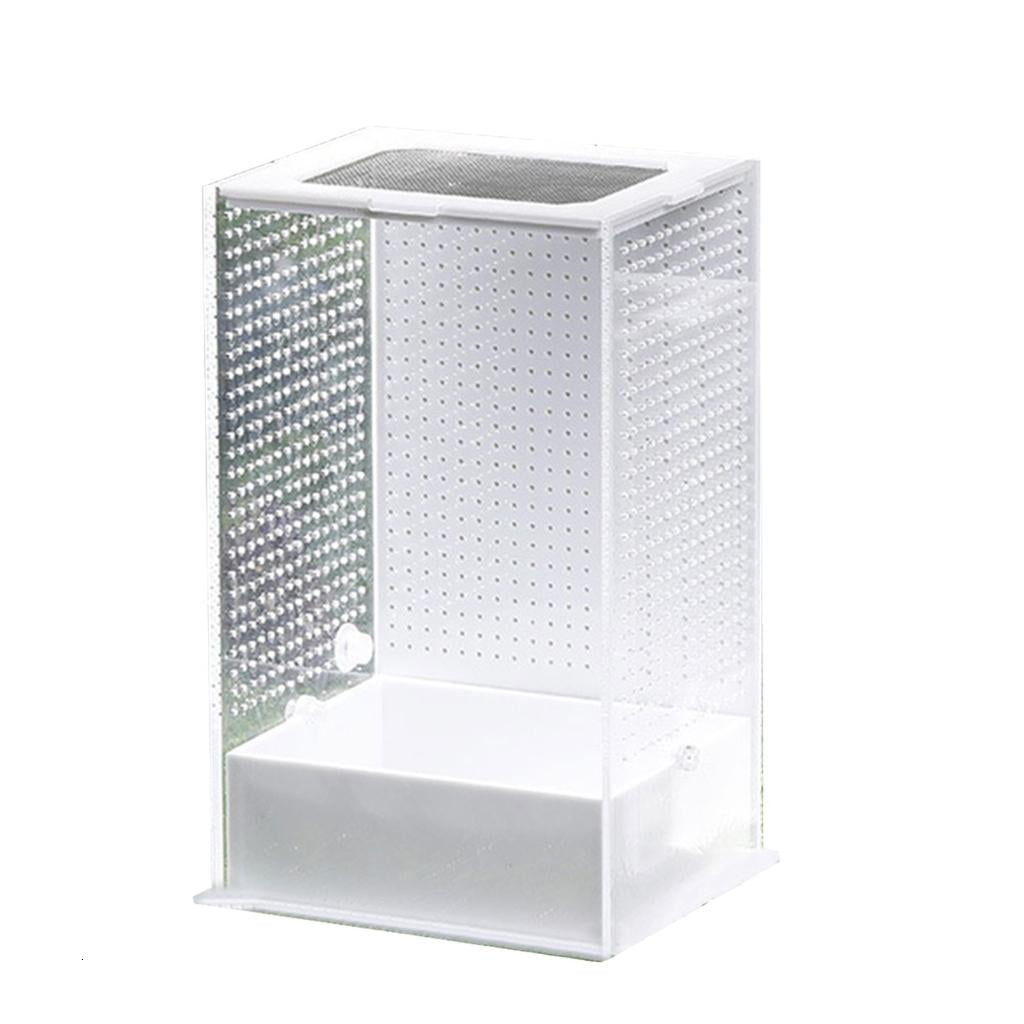 Giaone Mini Critter Keeper Carrier for Spider Scorpion- Geckos Snake ...