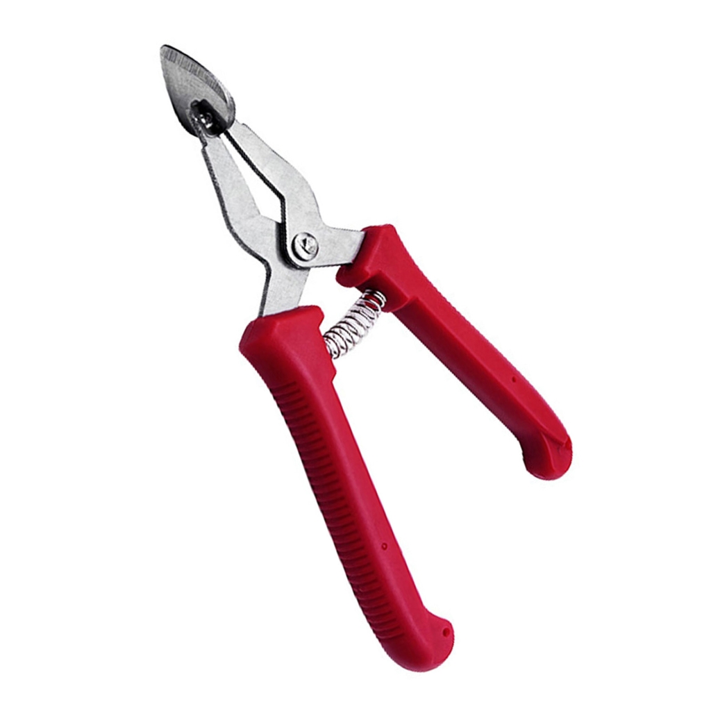 Giaone Stainless Steel Watermelon/Durian Cutter with Riveted Joints ...