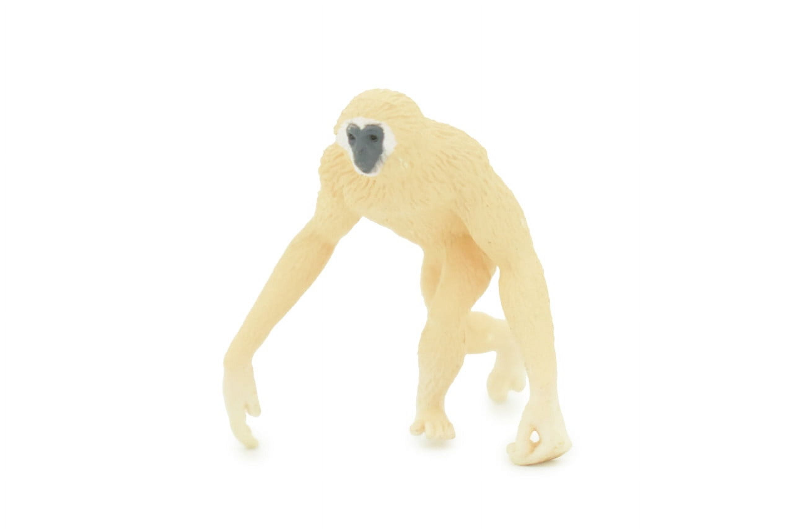 Gibbon, Lesser Ape, Hand Painted, Educational, Rubber Primate ...