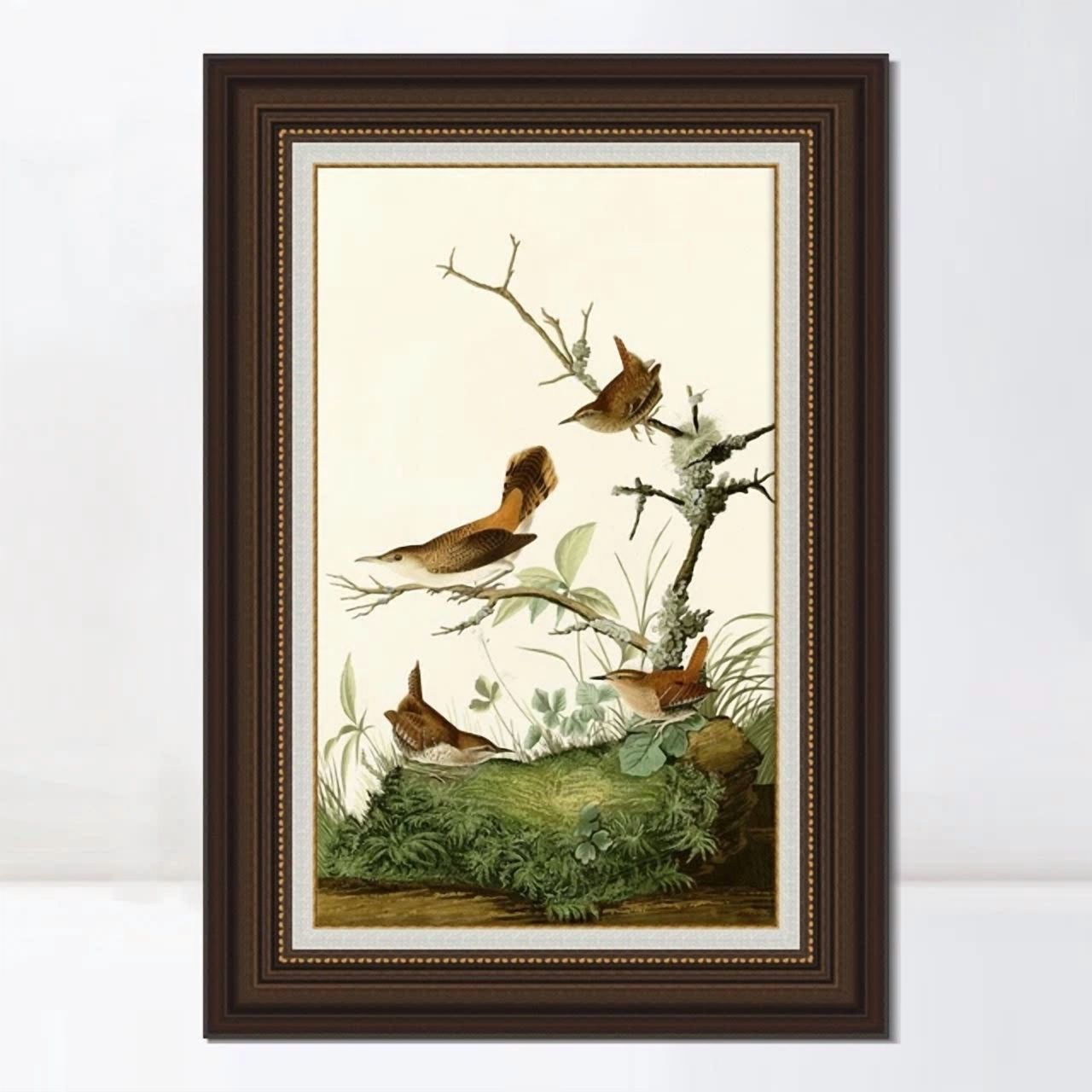 Giclee Print Series#136 By John James Audubon Wall Art Home Decor Art ...