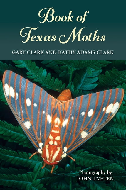 Moths Texas