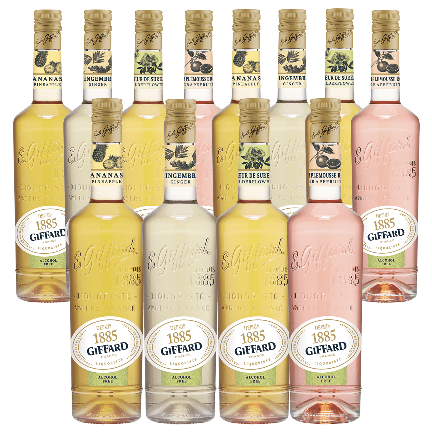 Giffard Depuis 1885 Pineapple, Elderflower, Grapefruit & Ginger Alcohol ...