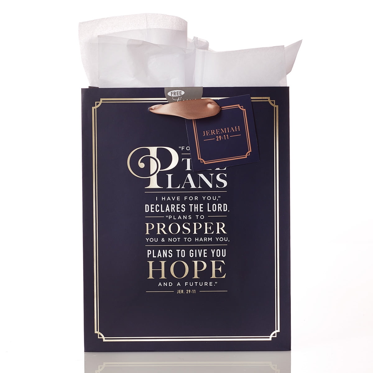 Gift Bag Medium For I Know The Plans Jer. 29:11 - Walmart.com