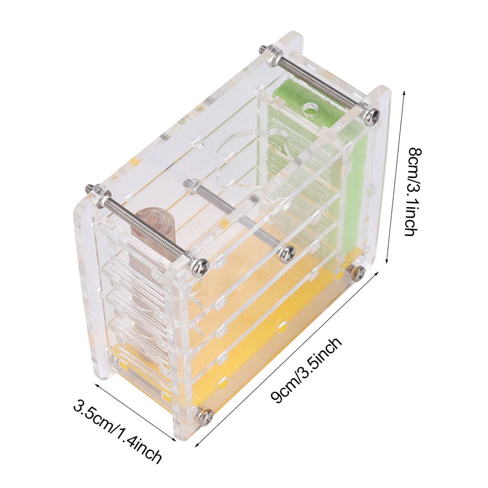 Gift DIY Ant , Ant Farm, For Ant Feeding Pets - Walmart.com