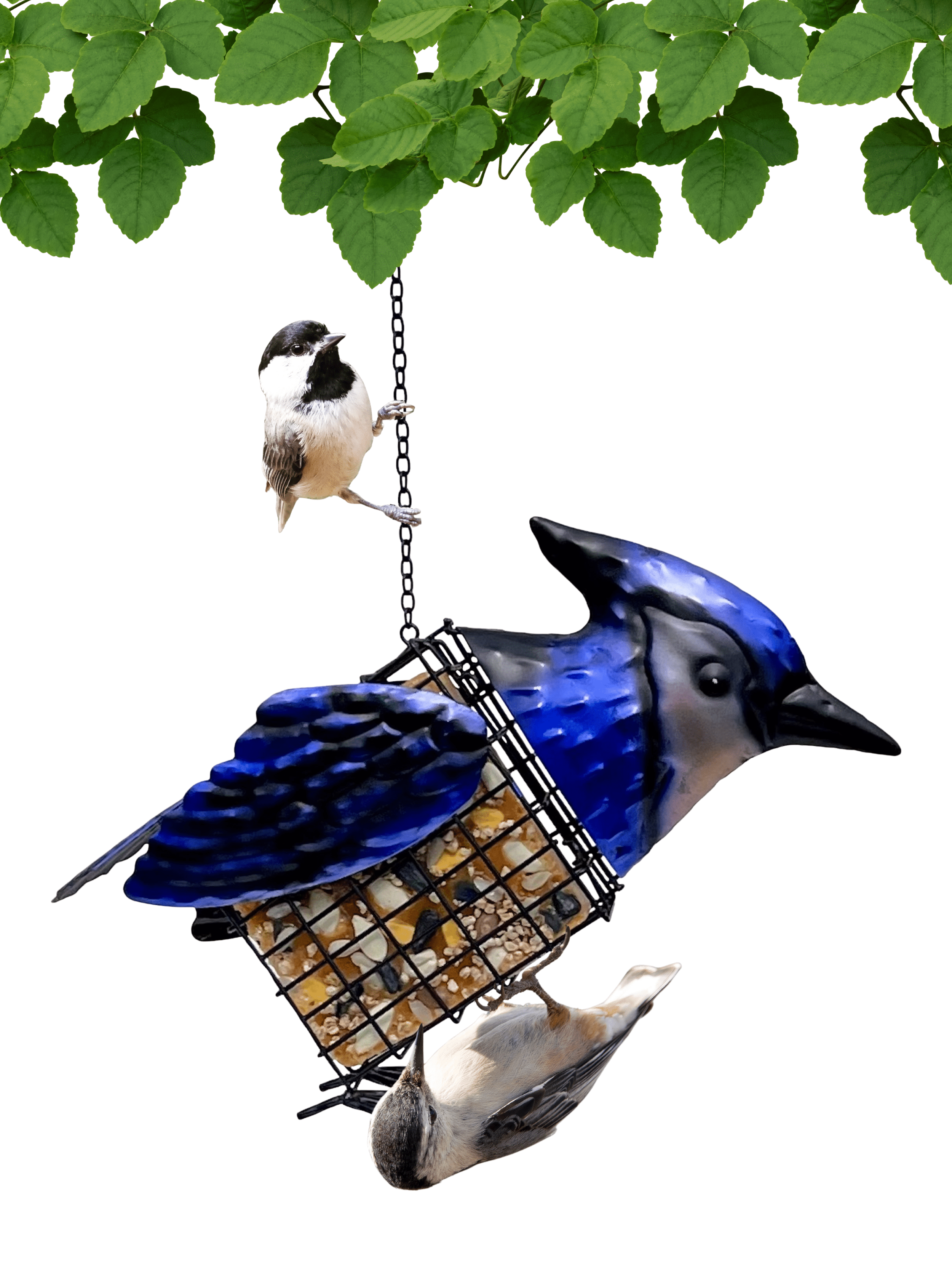 Gift Essentials Bird Feeder Bird Seed Suet Feeder Blue Jay, 1 Suet Cake ...