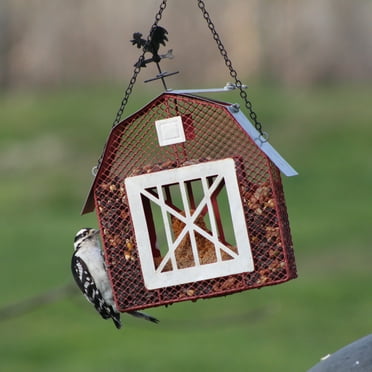 Backyard Essentials Porch Swing Bird Feeder Hanging Squirrel Feeder ...