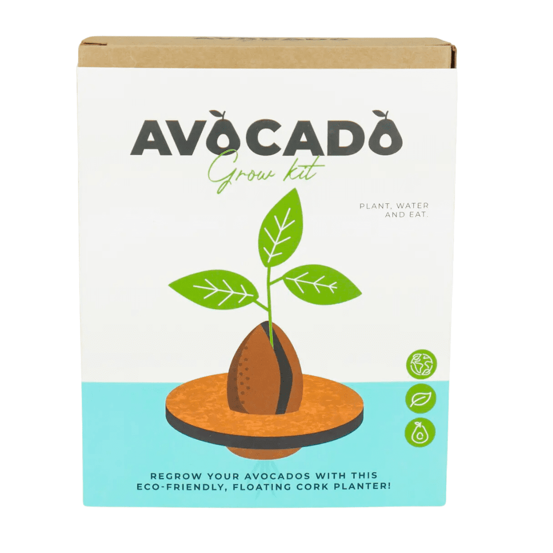 Gift Republic Avocado Grow Kit - Walmart.com