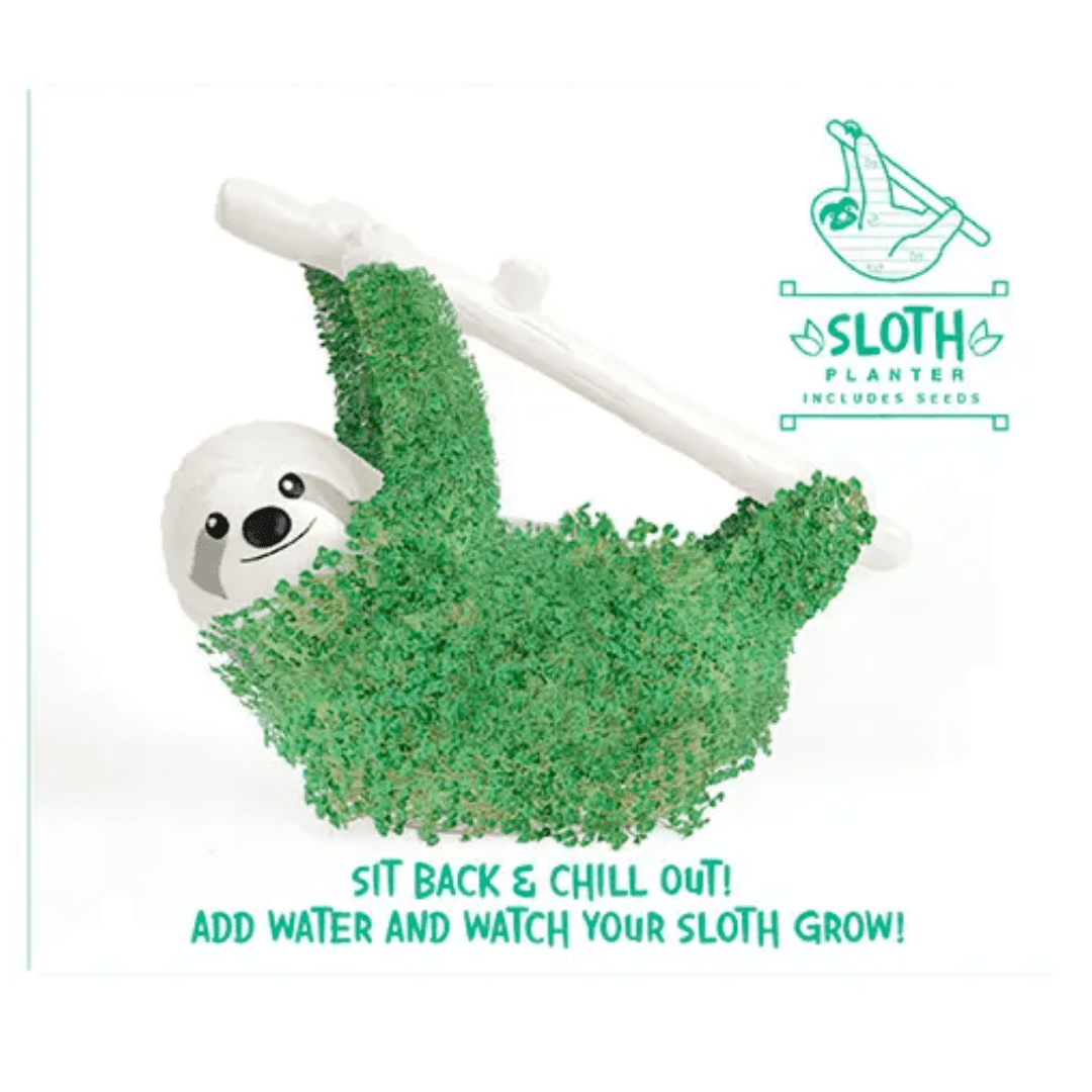 Gift Republic Sloth Chia Planter - Walmart.com