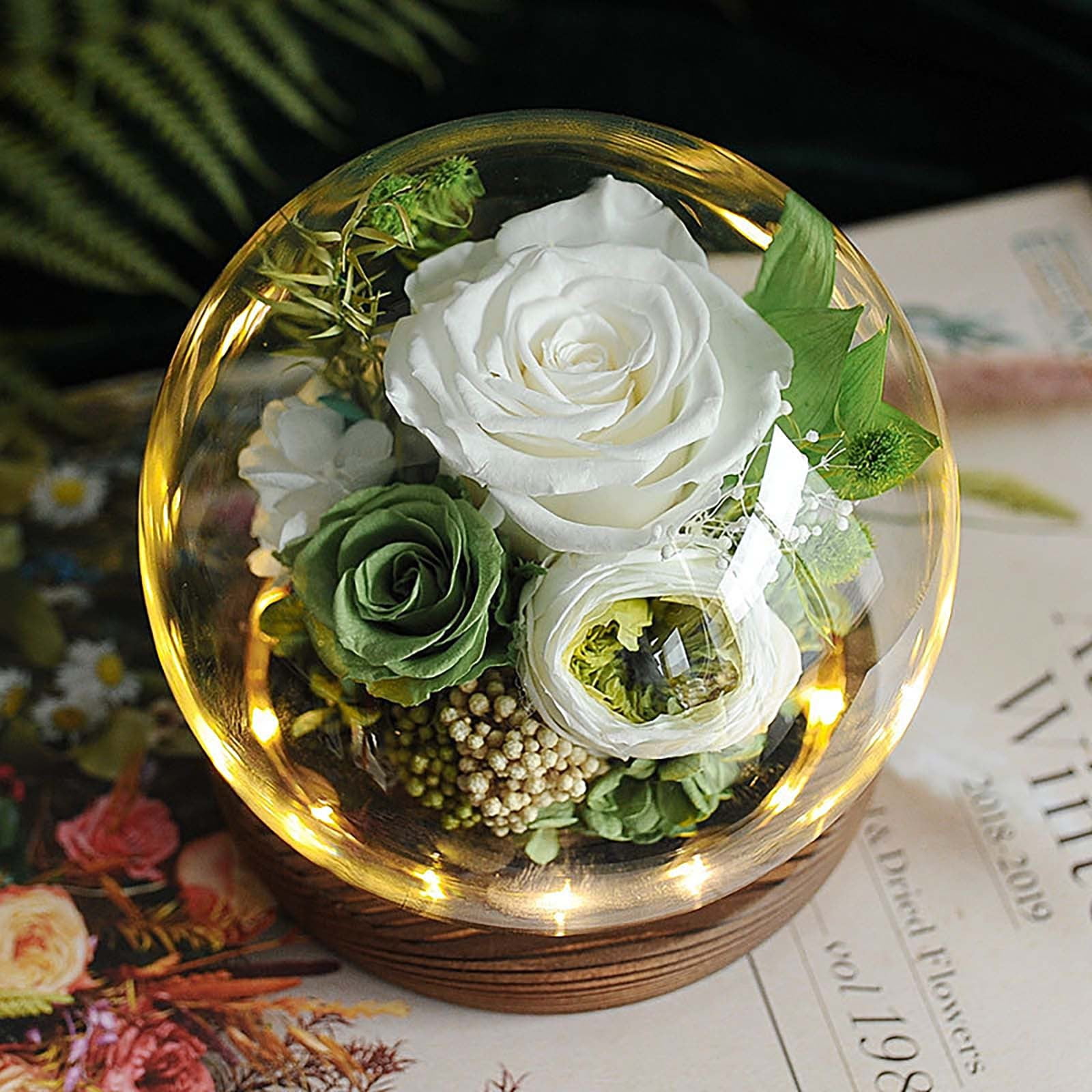 Gift Rose Preserved Flower Glass Cover Green, Preserved Real Flowers ...