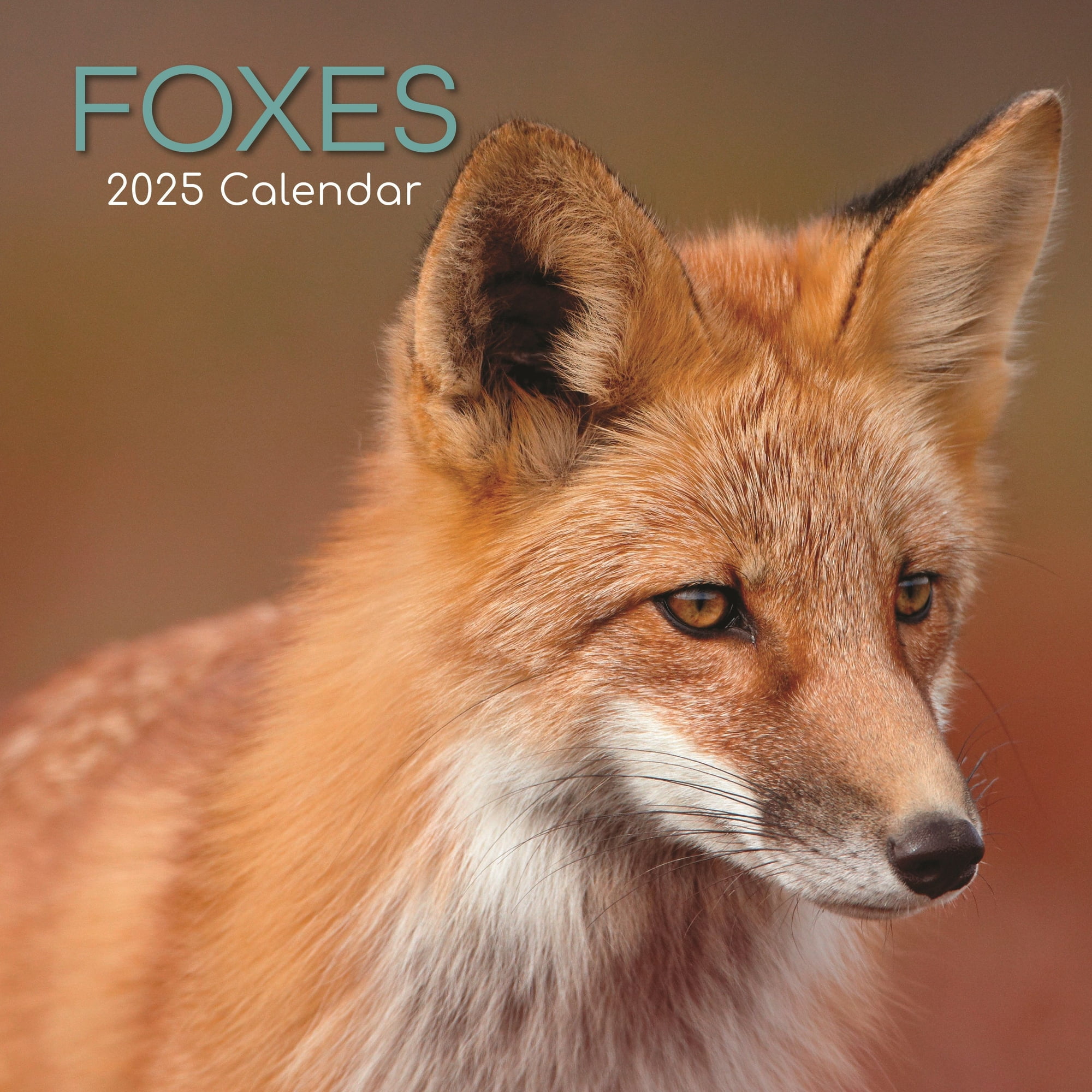 The Gifted Stationary 2025 Square Wall Calendar, Foxes, 16-Month ...