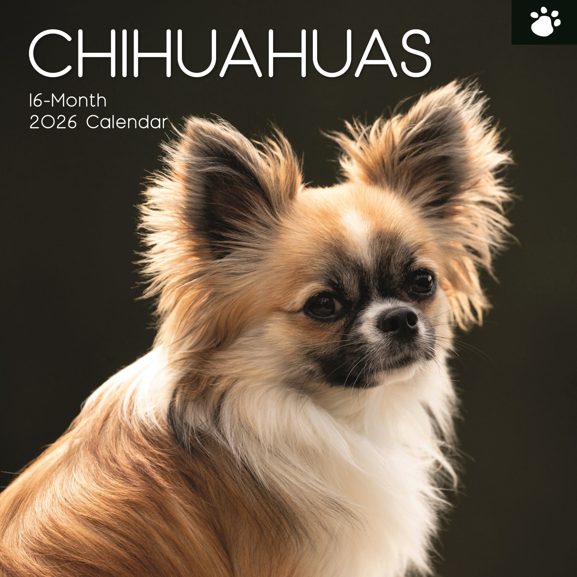 The Gifted Stationary 2026 Square Wall Calendar, Chihuahuas, 16-Month ...