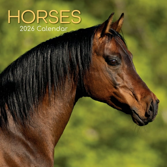 Calendar Horses