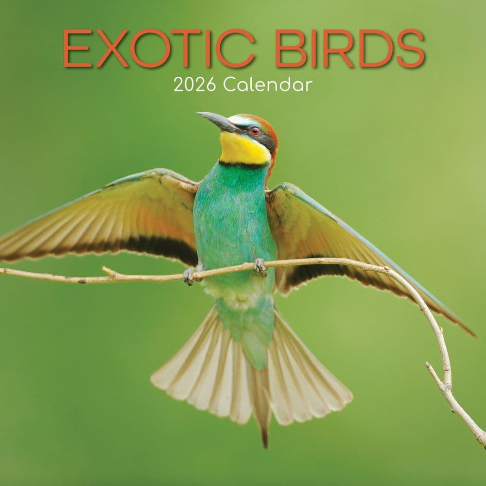 Gifted Stationery Co, Exotic Birds 2026 Wall Calendar, 12'' X 12'', 16 ...