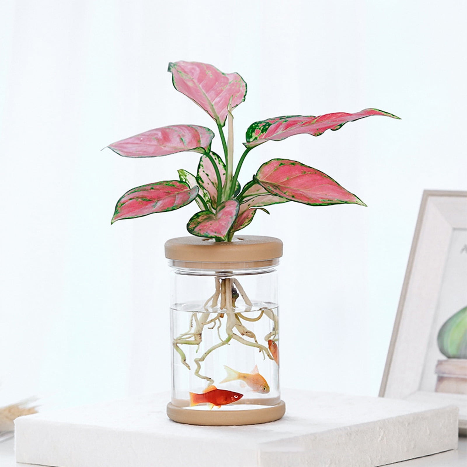Gifts for Women, Plants Propagation Station, Desktop Plant Terrarium ...