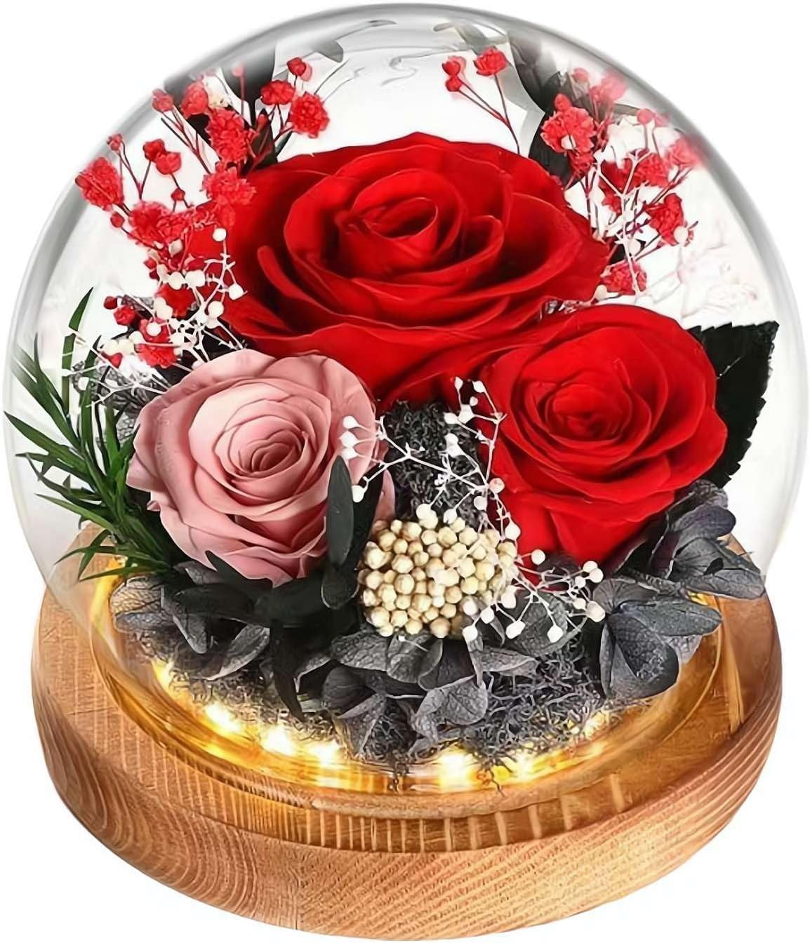Gifts for Women, Rose Fresh Flowers in Glass Dome with LED Light ...