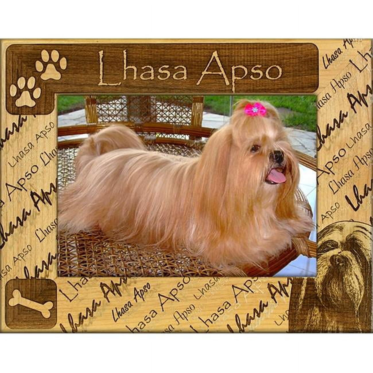 Giftworks Plus DBA0110 Lhasa Apso, Alder Wood Frame, 5 x 7 In - Walmart.com