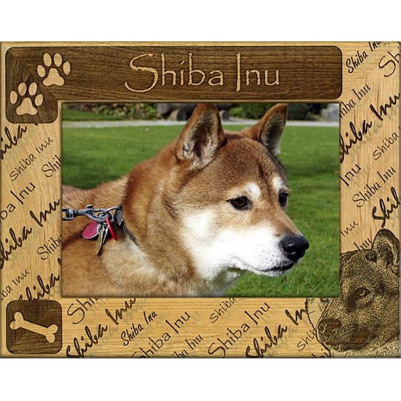 Giftworks Plus DBA0155 Shiba Inu, Alder Wood Frame, 5 x 7 In - Walmart.com