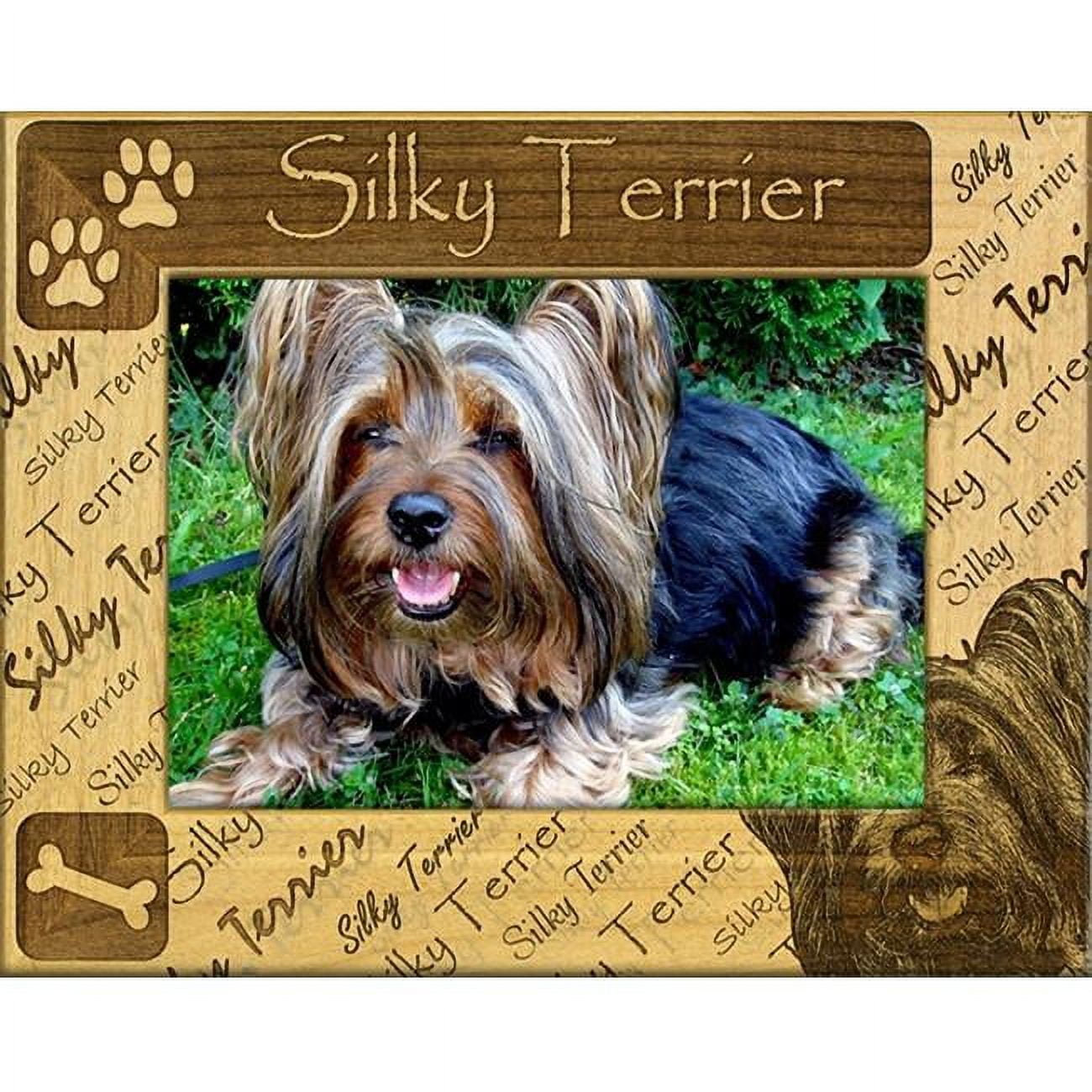 Giftworks Plus DBA0159 Silky Terrier Alder Wood Frame, 3.5 x 5 In ...