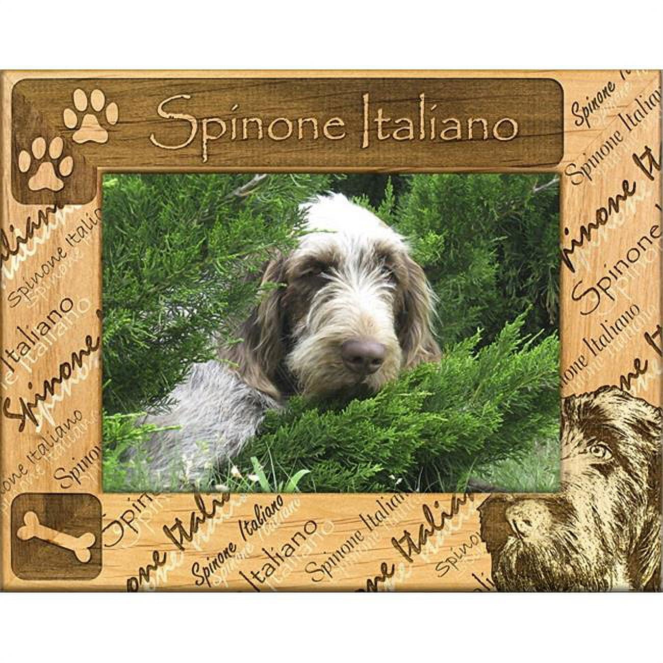 Giftworks Plus DBA0160 Spinone Italiano Alder Wood Frame, 4 x 6 In ...