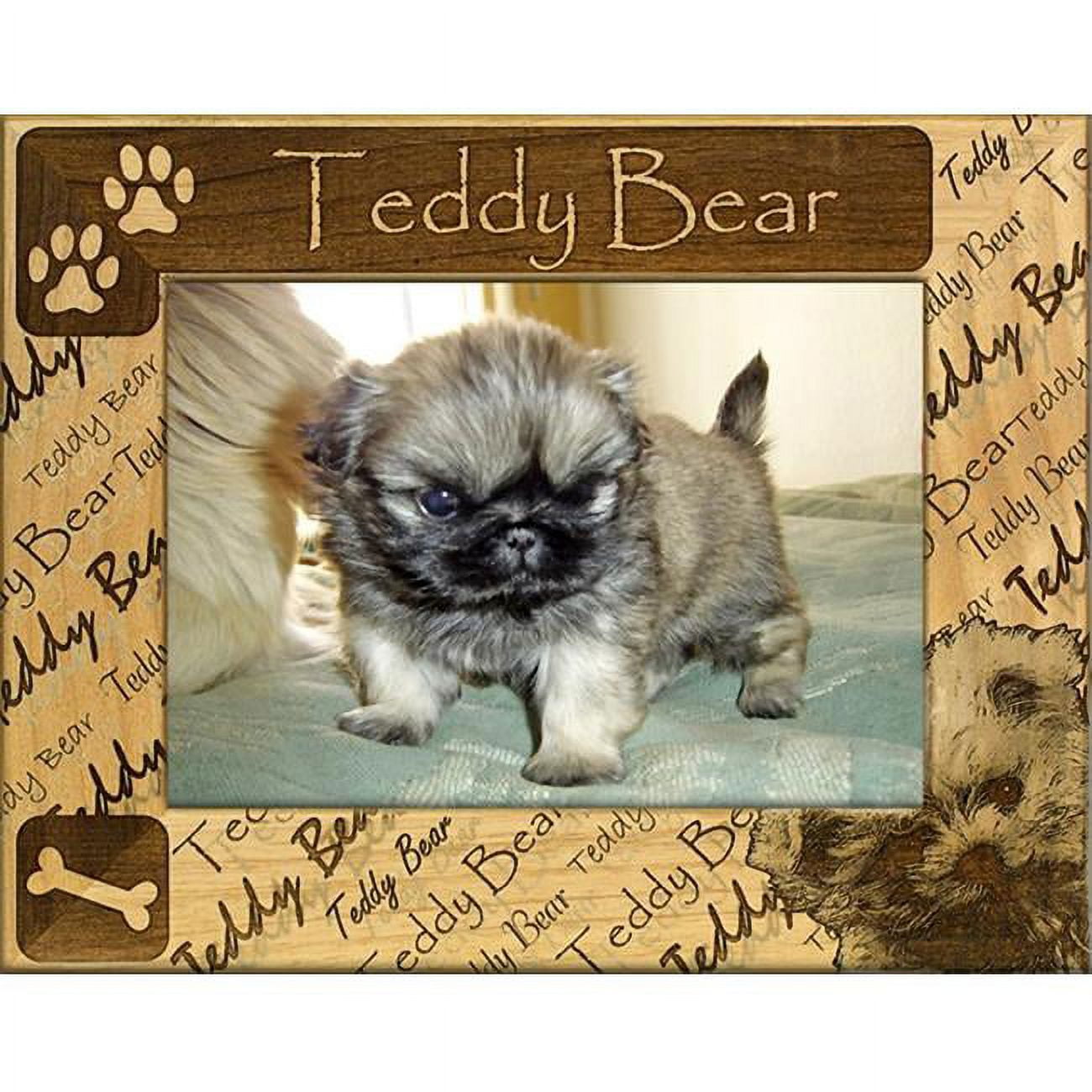Giftworks Plus DBA0165 Teddy Bear Alder Wood Frame, 5 x 7 In - Walmart.com