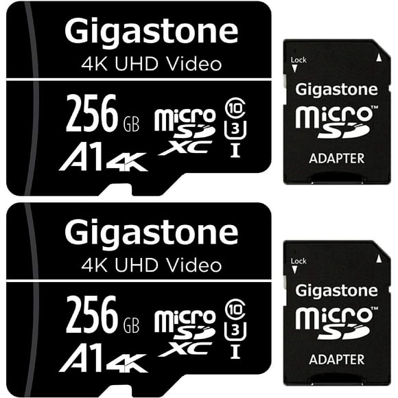 256 GB Memory Cards