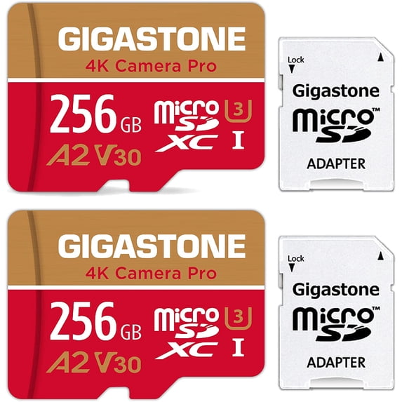 Gigastone 256GB Micro SD Card, 4K Video, Compatible with Nintendo ...