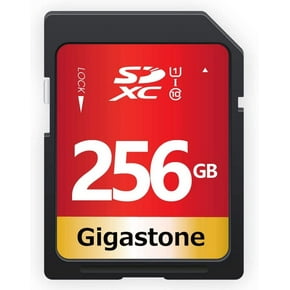 256 GB Memory Cards