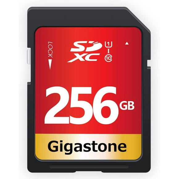 256 GB Memory Cards