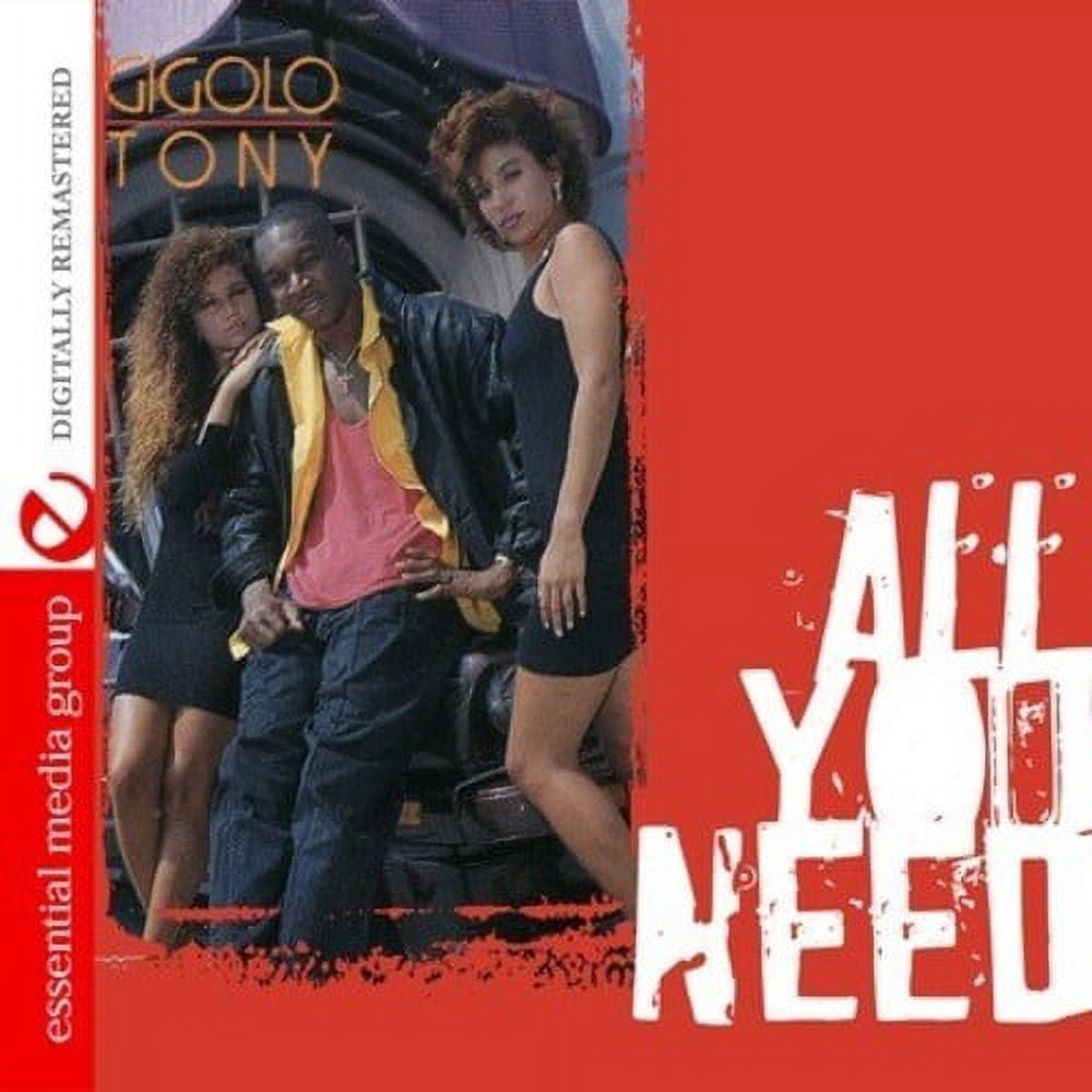 Gigolo Tony - All You Need - Music & Performance - CD - Walmart.com