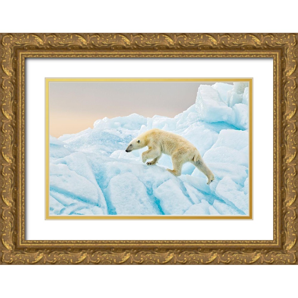 Gil Raga, Joan 14x11 Gold Ornate Wood Framed with Double Matting Museum ...