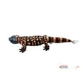 Gila Monster Cute Plushie Stuffed Lizard Toy 24 - High-Quality Plush ...