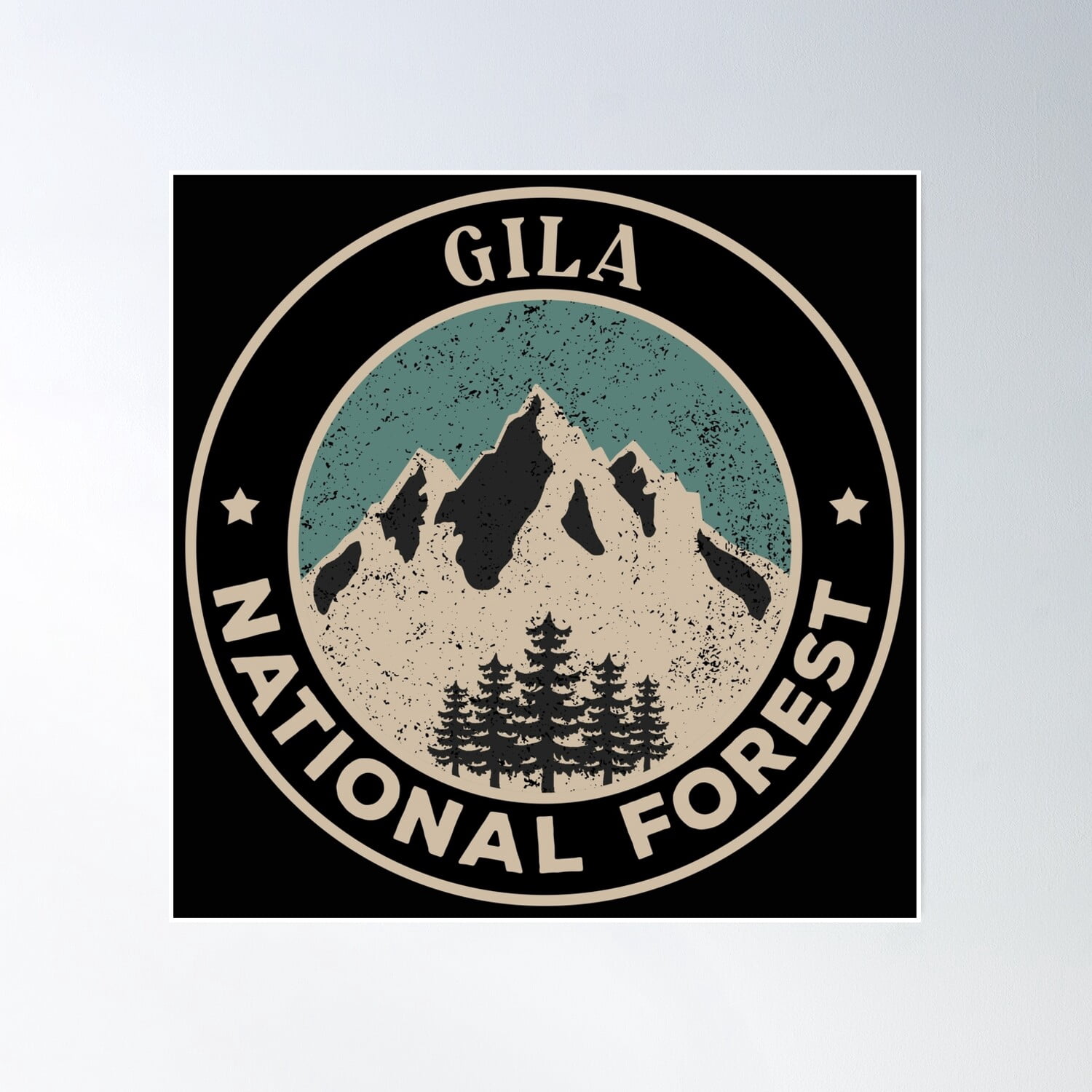 Gila National Forest Poster Wall Art, Modern Wall Decor, 16x16 UNFRAMED ...