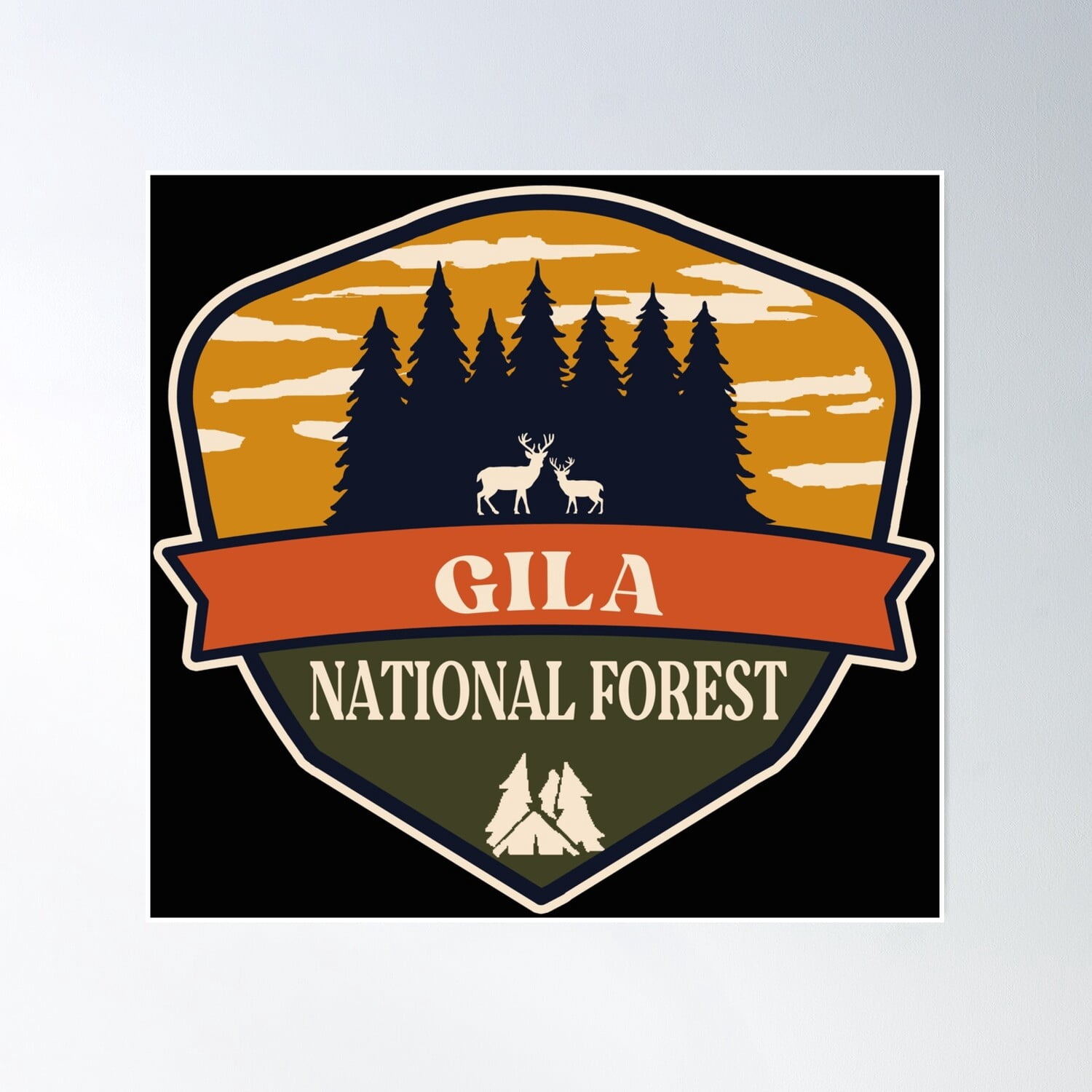 Gila National Forest Poster Wall Art, Modern Wall Decor, 30x30 UNFRAMED ...