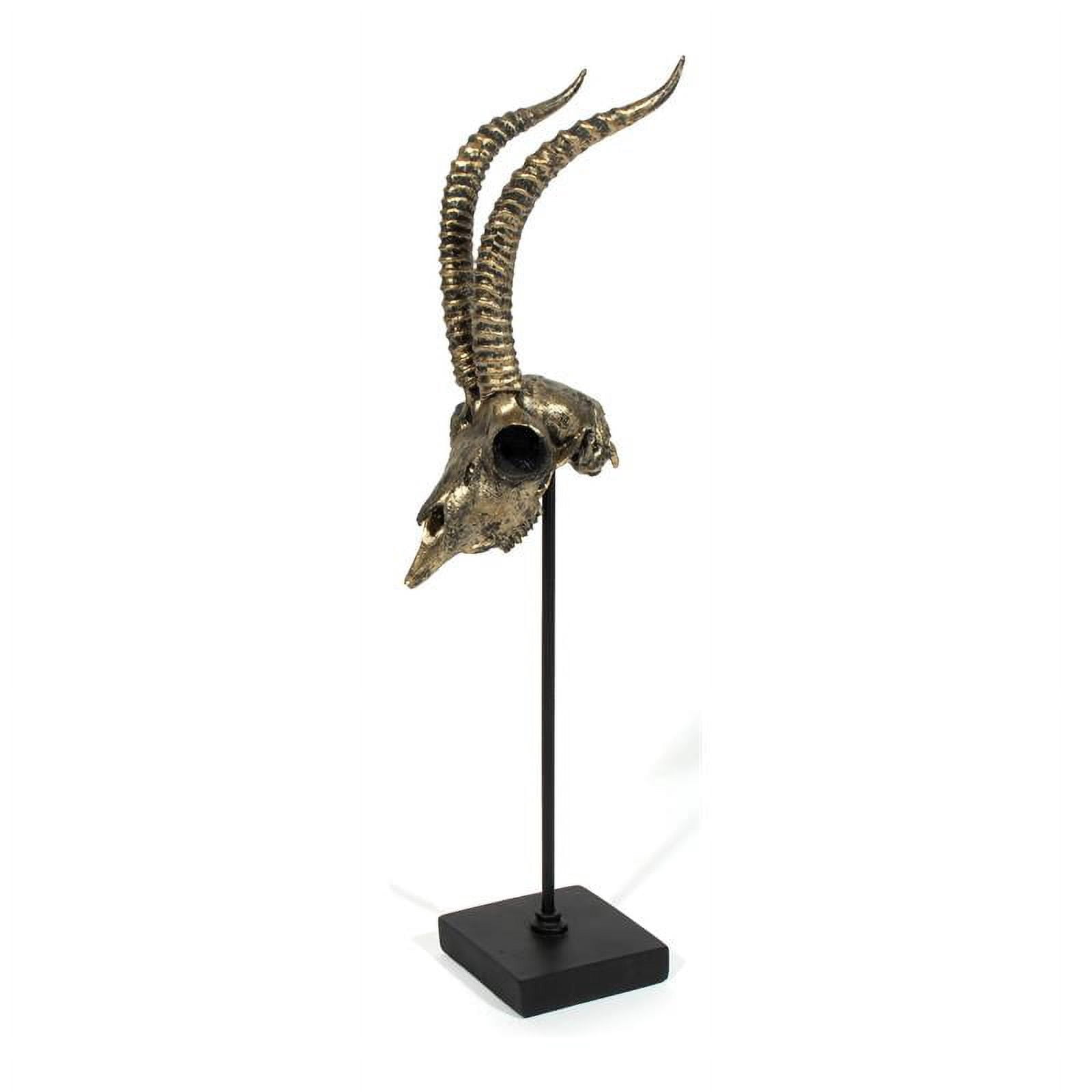 Gild Design House Mazi Poly-Resin and Wood Decorative Skull in Antique ...