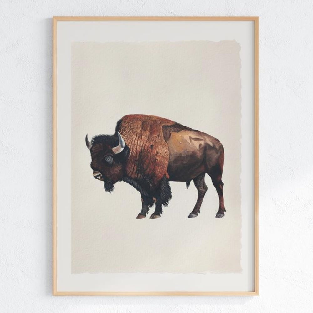Gild Leaf Vintage Bison Natural History Poster Buffalo Art Print for ...