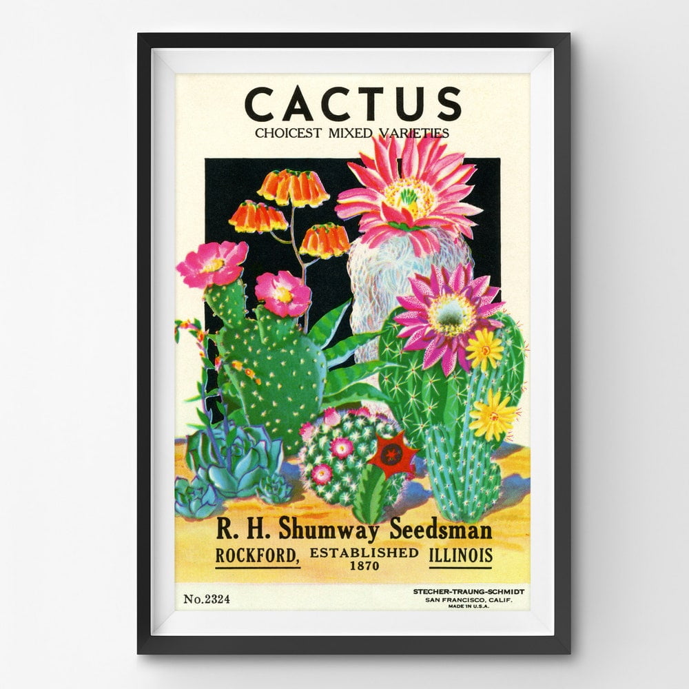 Gild Leaf Vintage Cactus Seed Packet Poster: Southwest Desert Art Print ...