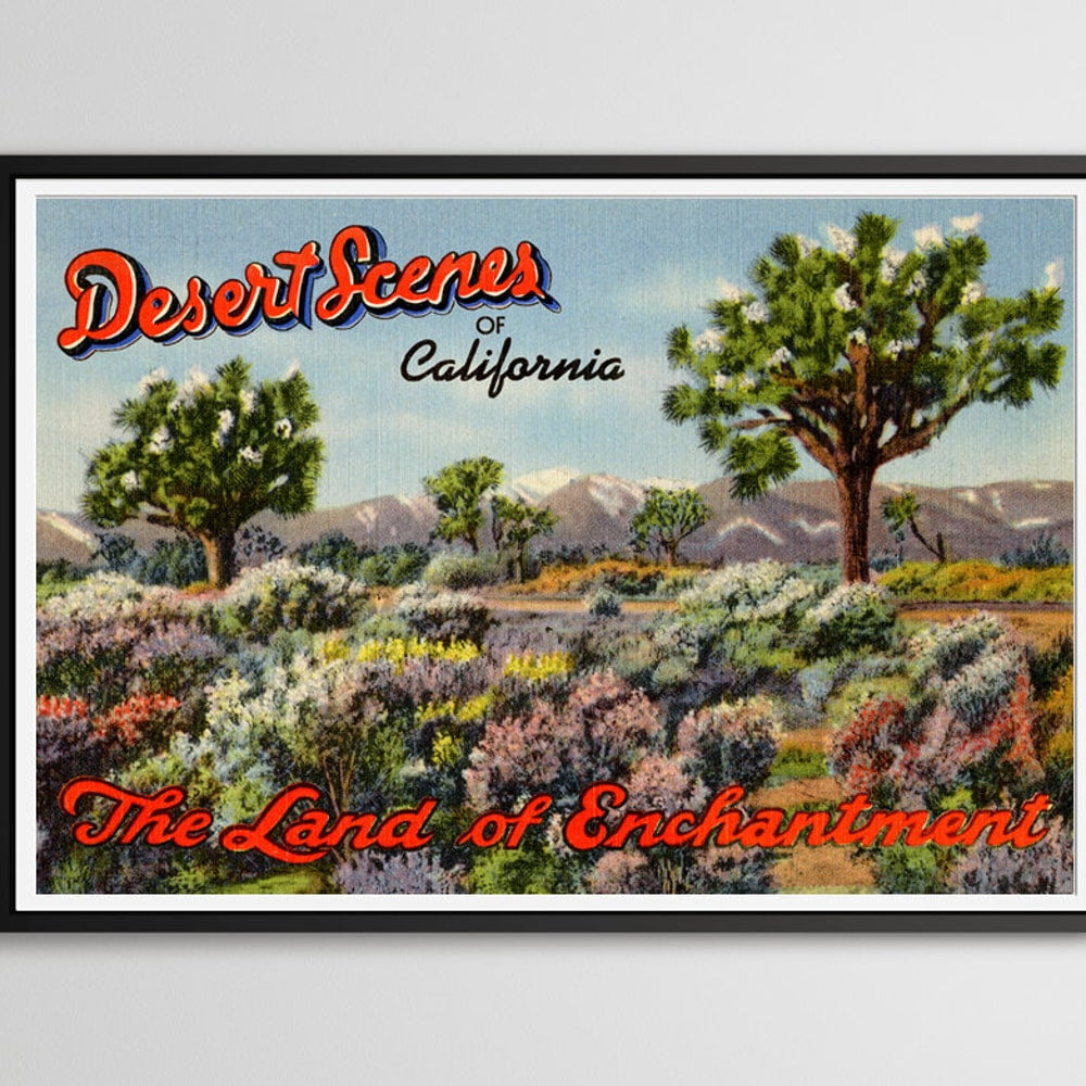 Gild Leaf Vintage California Desert Postcard Poster: Joshua Tree Art ...
