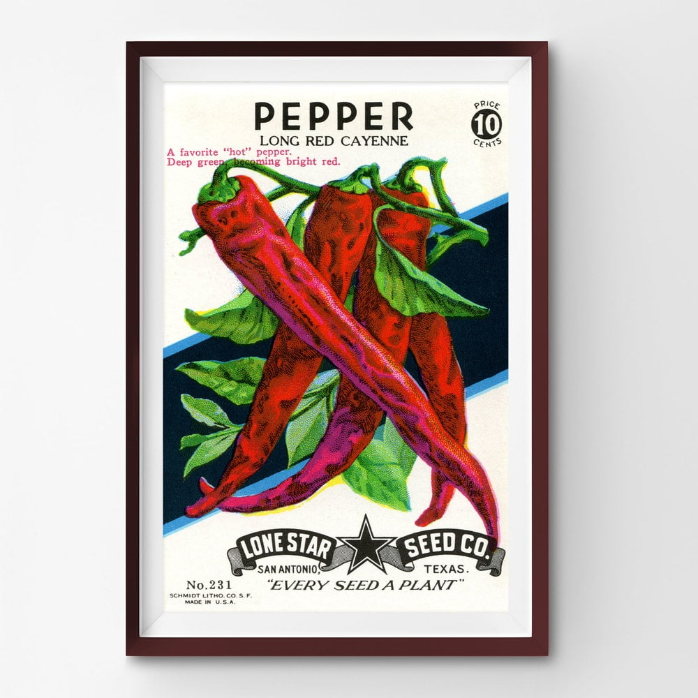 Gild Leaf Vintage Cayenne Pepper Seed Packet Poster: Kitchen Garden Art ...