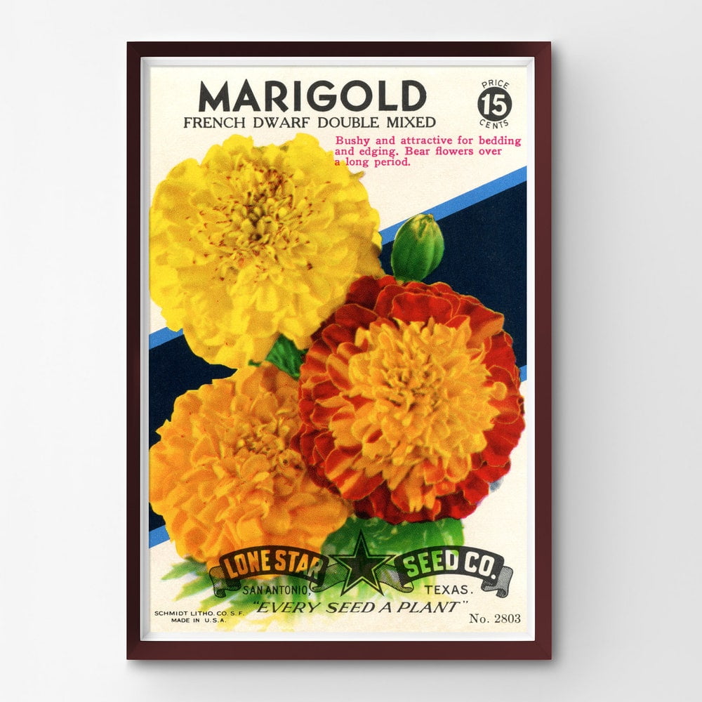 Gild Leaf Vintage Marigold Seed Packet Poster: Farmhouse Kitchen Art ...