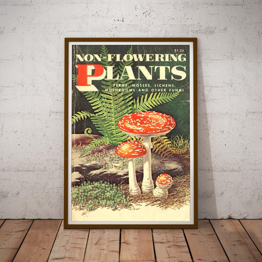 Gild Leaf Vintage Mushroom & Fern Poster – Non-Flowering Plants ...