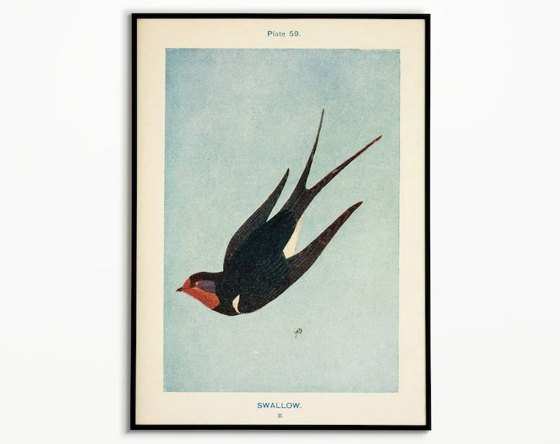 Gild Leaf Vintage Swallow Poster, Vintage Print, Vintage poster ...