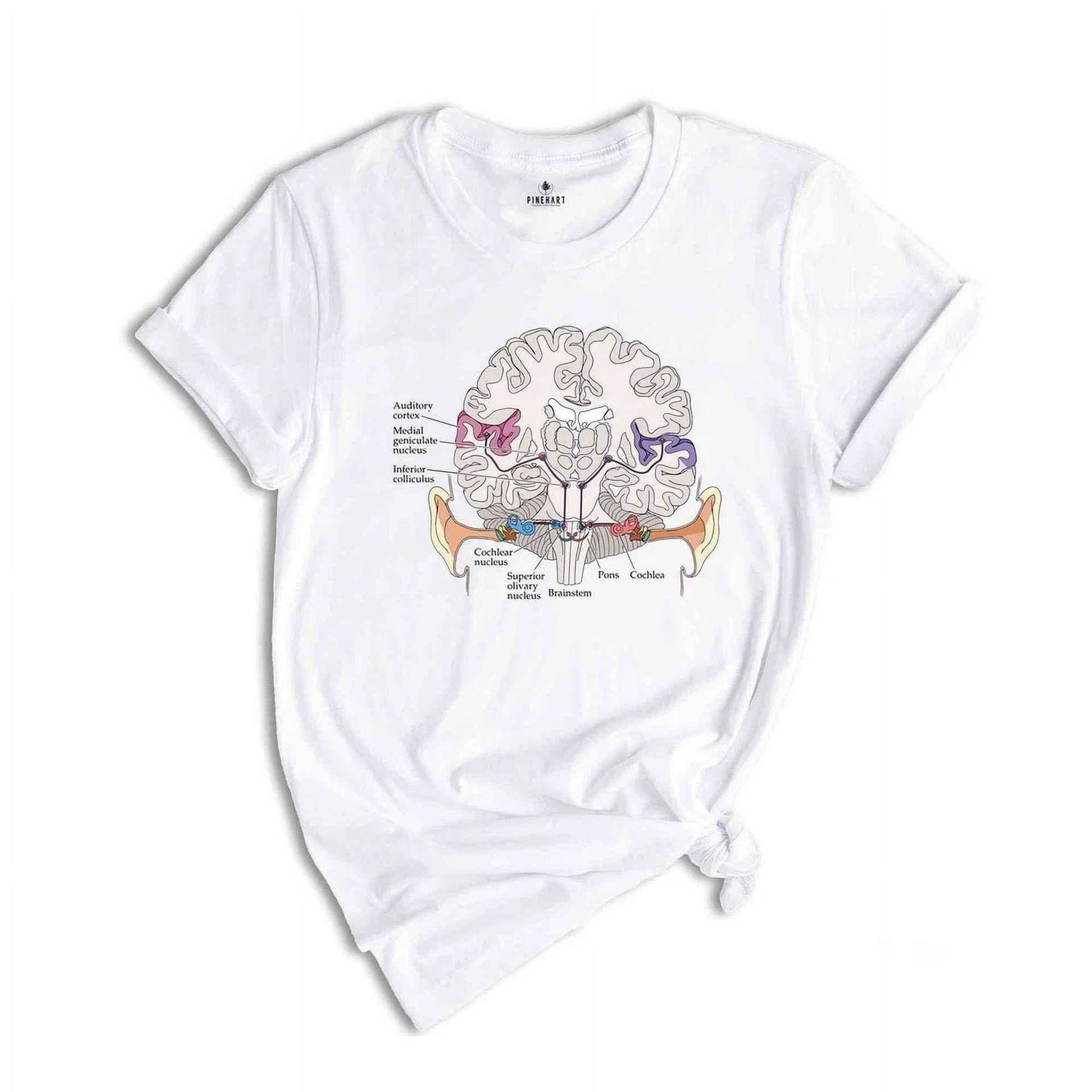 Gildan Auditory Pathway Shirt, Anatomical Brain Shirt, Anatomy Shirts ...