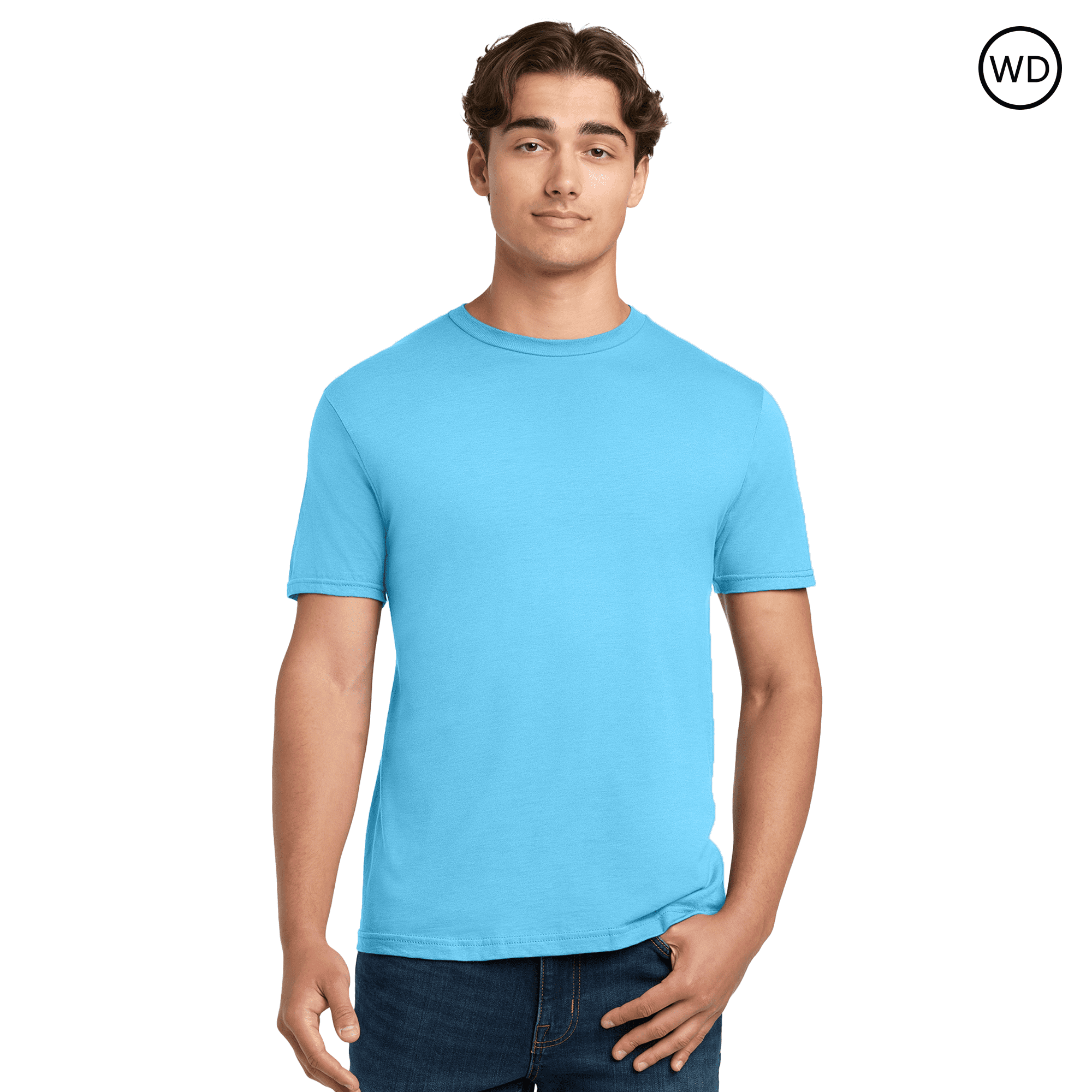 Gildan Softstyle Lightweight Cotton T-Shirt for Adult, Baby Blue, L ...
